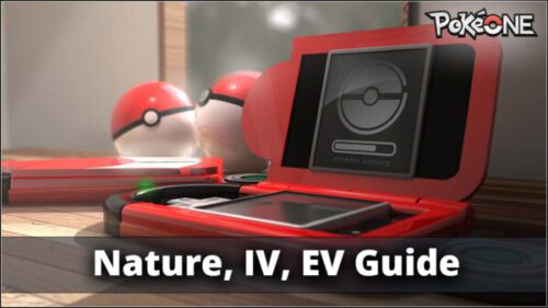 Introduction to Natures, IVs and EVs