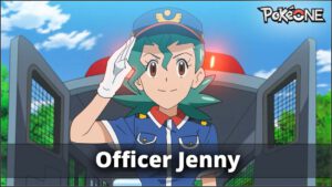 Unova Trainer EXP